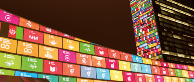 The SDGs: What Local Governments Need to Know – Decentralization Net