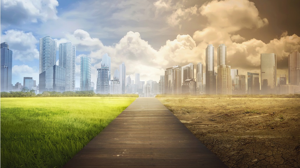 Thriving: Making Cities Green, Resilient, and Inclusive in a Changing ...