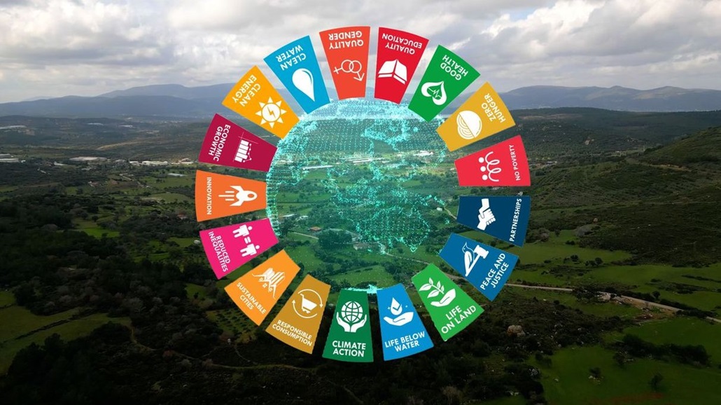 Integrating Sustainable Development Goals in local plans ...
